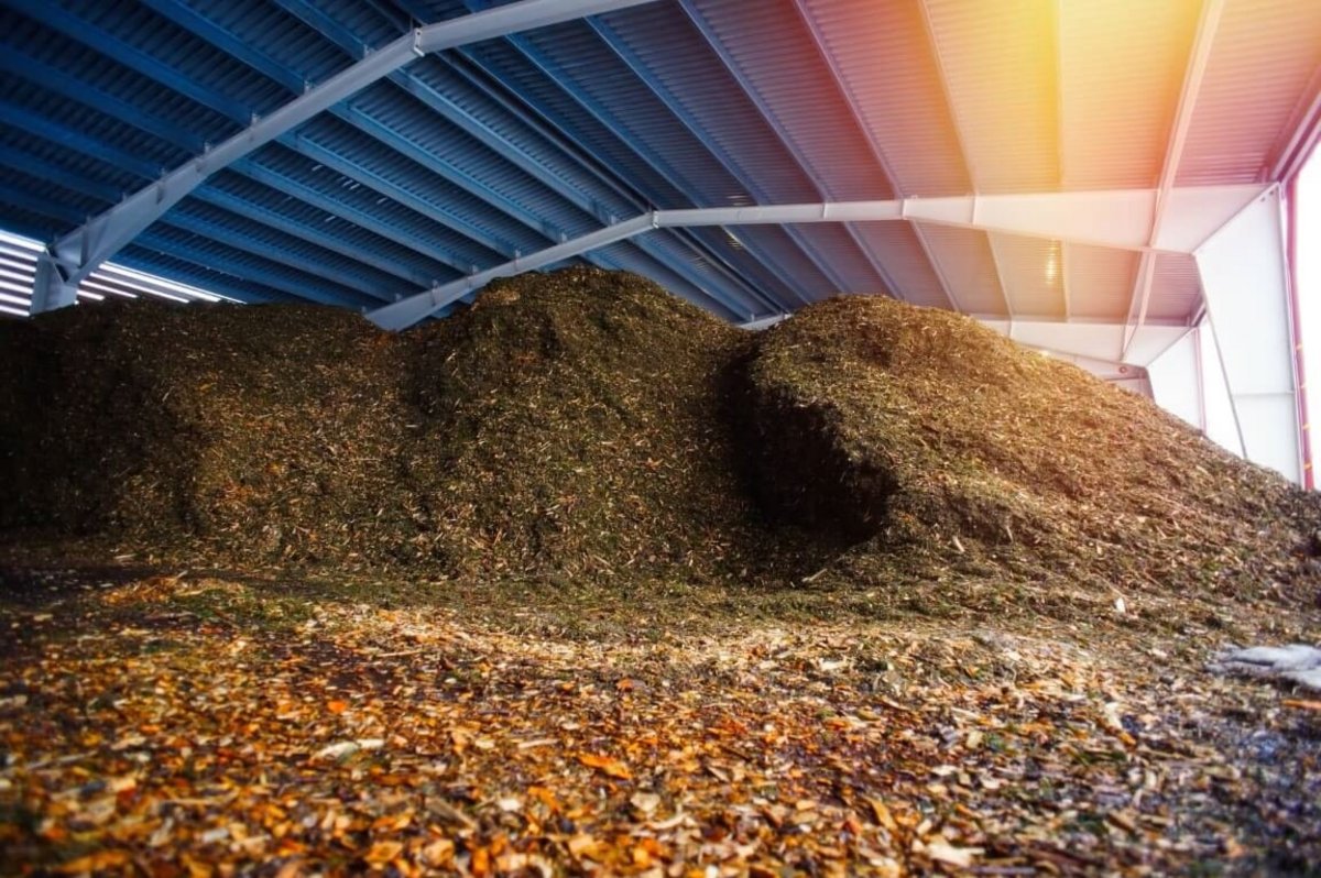 Biomasse - Energie versorgt mit Licht und Wärme